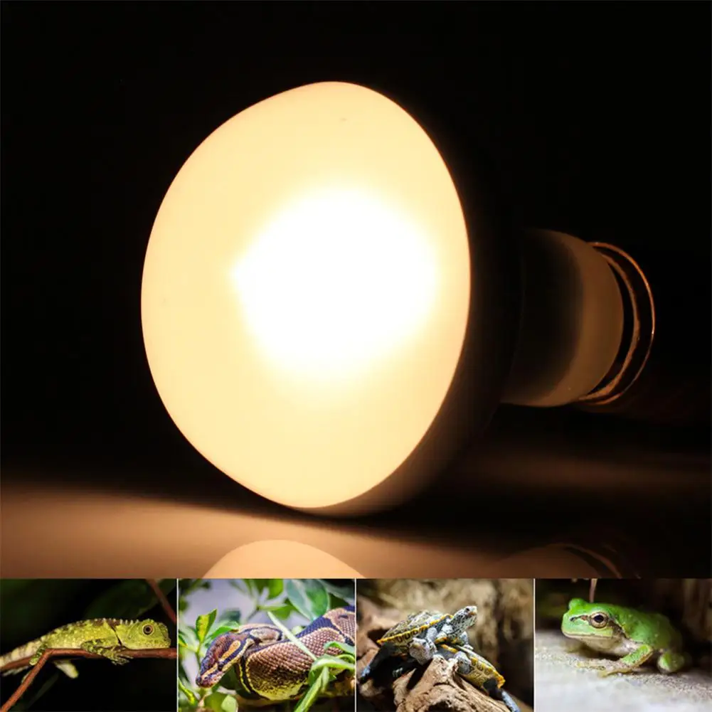 E27 Pet Heating Lights Heat Light Bulb Pet Brooder Chickens Reptile ...