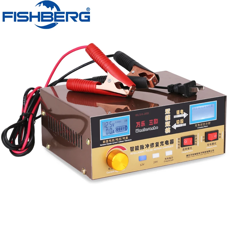 110V-250V 400AH Automatic Car Scooter Charger 12V/24V 15A 20A for Lead ...