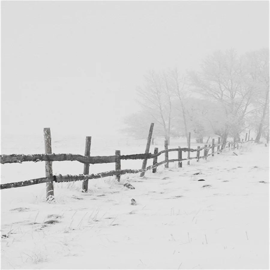 Laeacco Winter Snow Hazy Morning Farm Landscape Photography Backgrounds ...