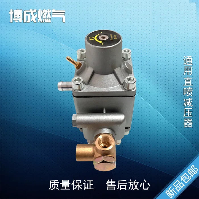LPG CNG kits for Cng pressure reducer CNG multi-point direct injection ...
