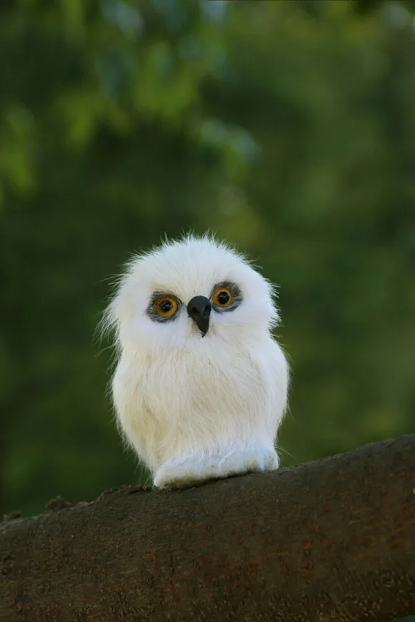 mini 7x5cm white owl model ,polyethylene& furs handicraft Figurines ...