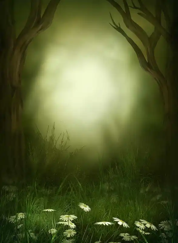 Green Screen Photograph Backgrounds Scenes Green Forest Sunlight ...