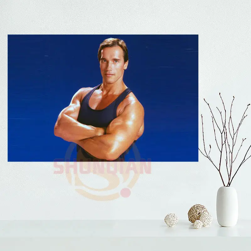 Arnold schwarzenegger conquer poster - assetleo