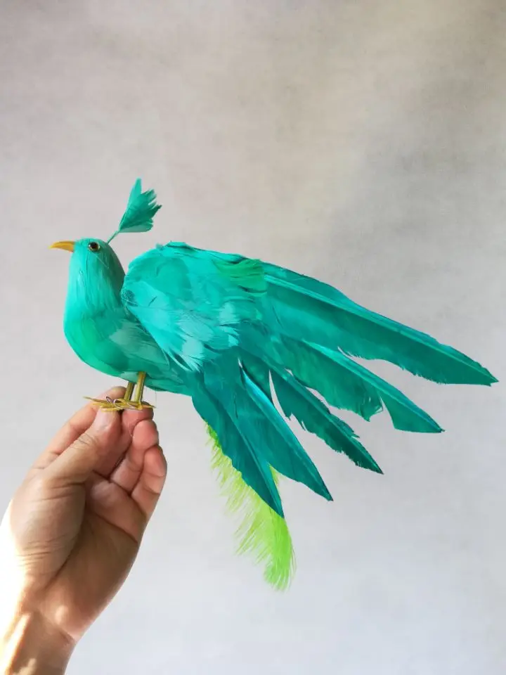 Green Phoenix Bird