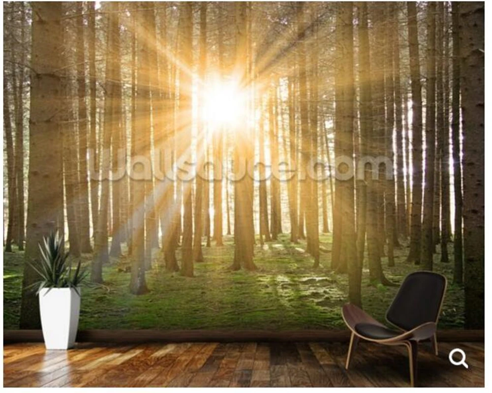 Custom-Forest-Wallpaper-Sun.jpg