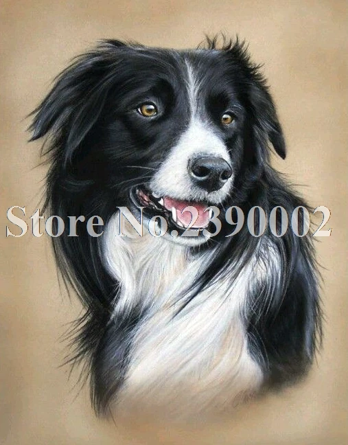 5D DIY Алмазная картина боксер Алмазная вышивка бордюр колли полная ...