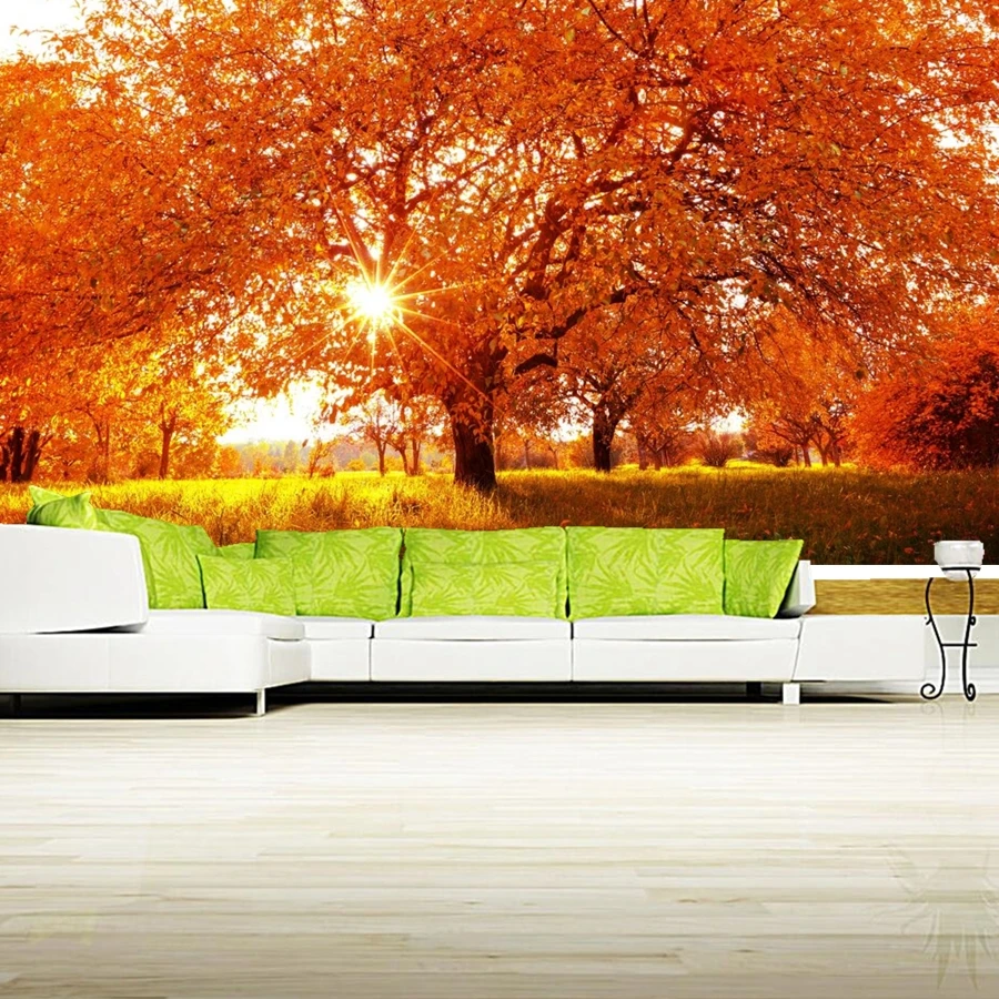 Seasons-Autumn-Trees-Rays-of-light-Grass-Nature-wallpaper-restaurant ...