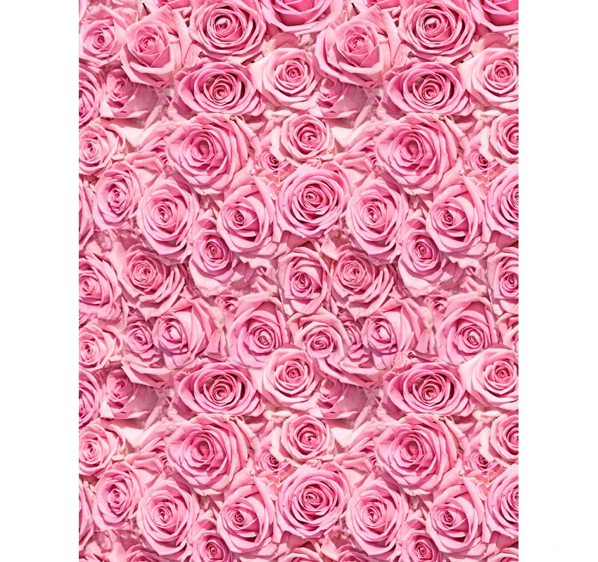 Pale Pink Rose Wallpaper