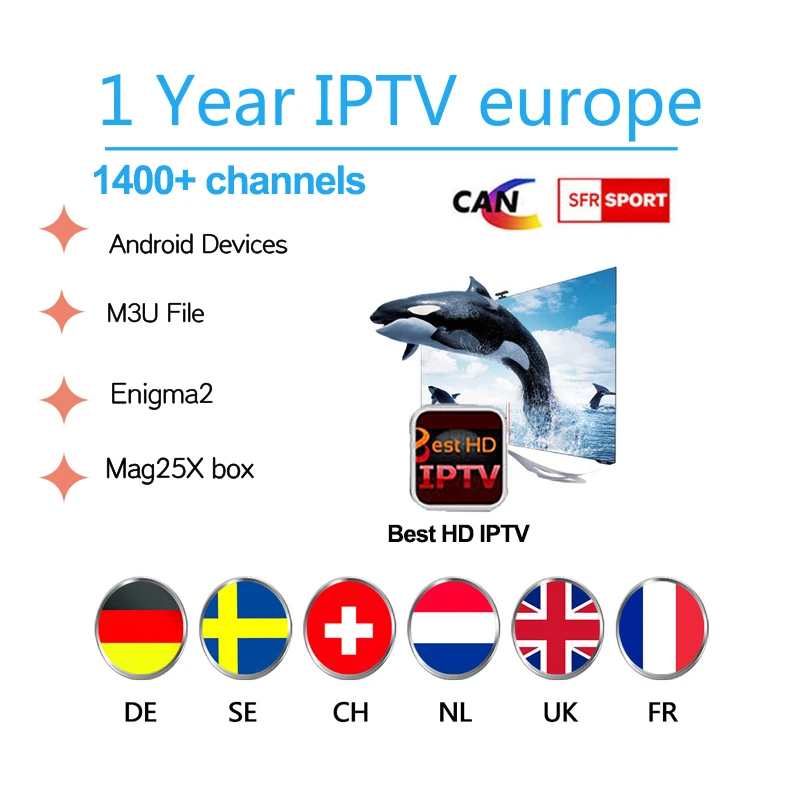 IPTV 1 year europe 1400+ Channels Europe Arabic French Belgium Germany IPTV Code Live TV For M3U ...