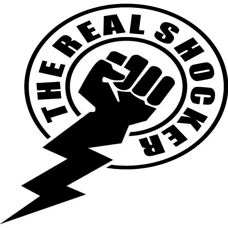 16.2CM*16CM The Real Shocker Decal Funny Car Vinyl Sticker JDM Racing ...