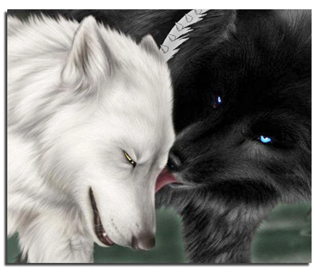 Black And White Wolves In Love Together