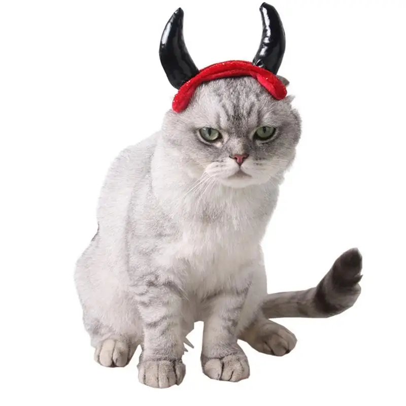 Cat With Devil Horns