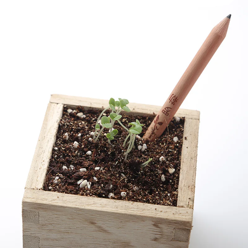 2014 Hot Sale Sprout Plant Pencil Plant Your Pencil With A Seed ...