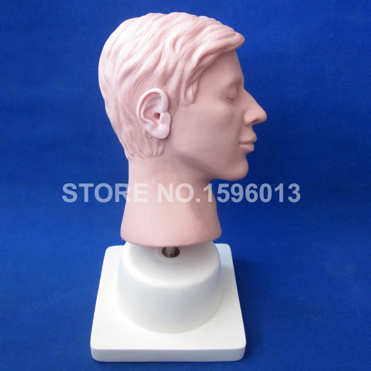 Advanced Ear Irrigation Simulator, Ear Inspection Training Model|ear ...