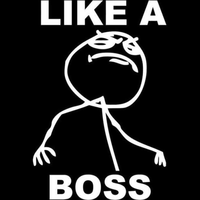 Like A Boss Meme Funny