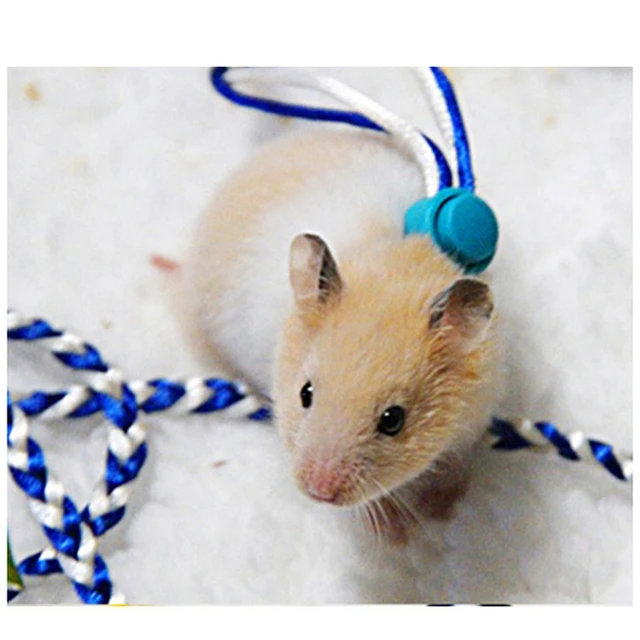 Hamster Leashes And Collars