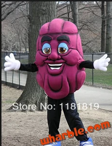 MASCOT bean mascot costume custom fancy costume anime cosplay kits ...