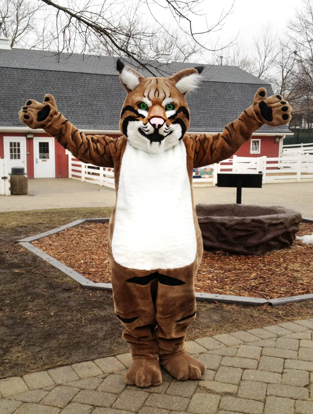 Oisk Custom Bobcat Mascot Costume Halloween Christmas Birthday