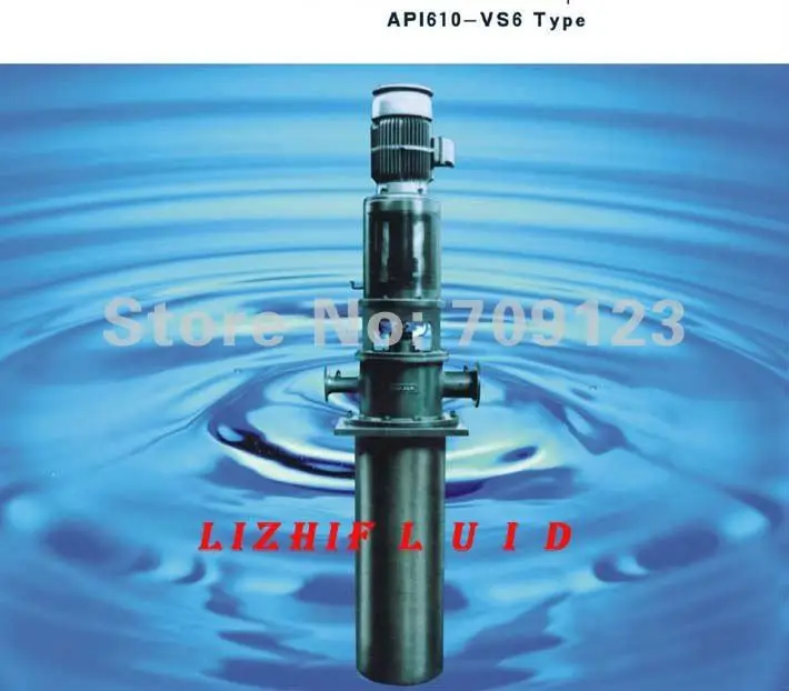 VS6 API vertical multistage centrifugal pump-in Pumps from Home ...