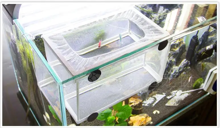 Fish Hatchery Supplies And Equipment