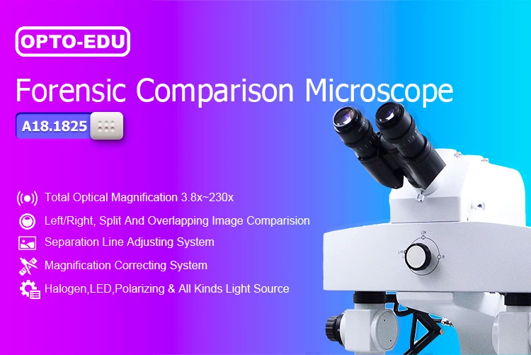 Science Source 6 Piece Forensic Bullet Caliber Comparison Set ...