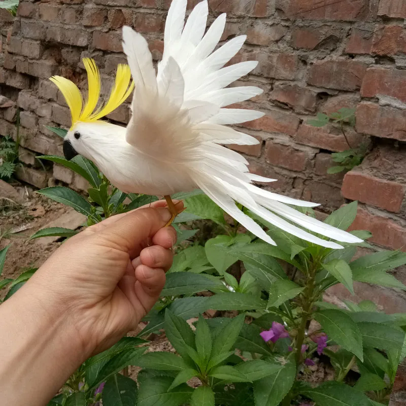 real-life-Bird-white-feathers-parrot-model-about-20x25cm-spreading ...