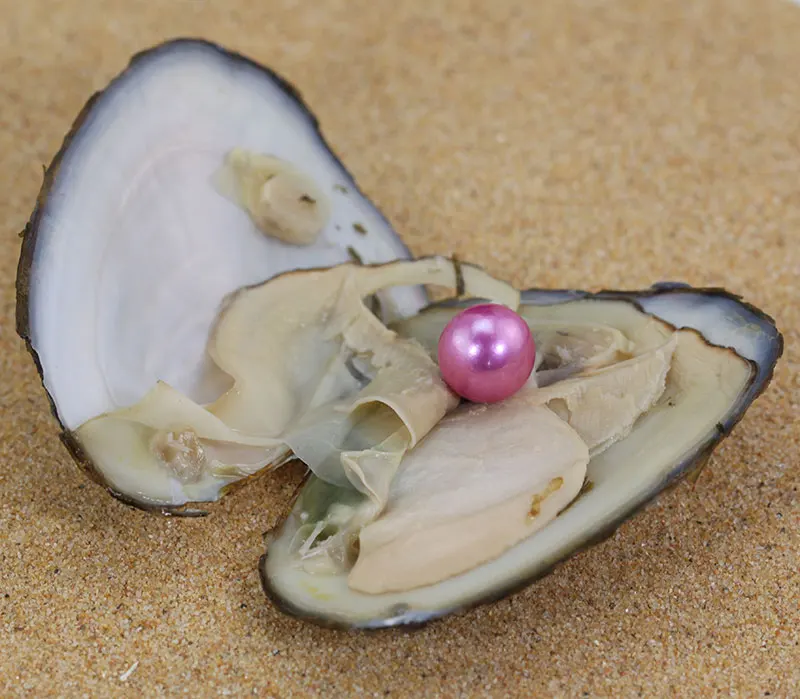 Freshwater Pearls In Shell