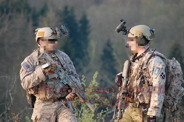 Devgru Crusader Patch