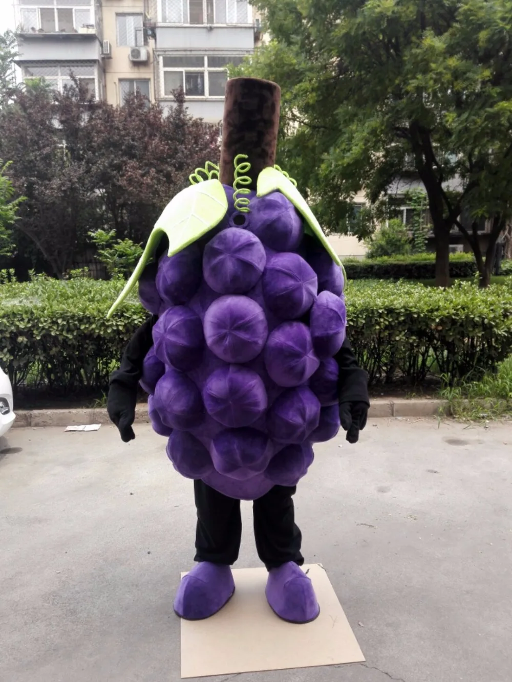 grape-mascot-costume-fruit-custom-fancy-costume-anime-cosplay-kit ...