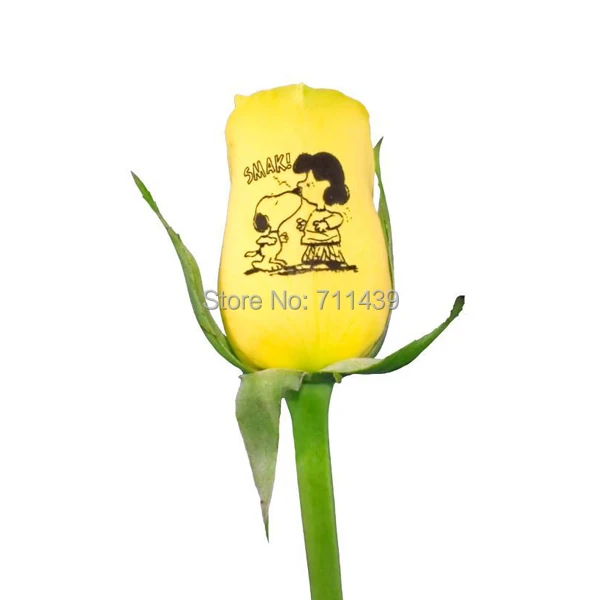 Speaking Roses Printer Food