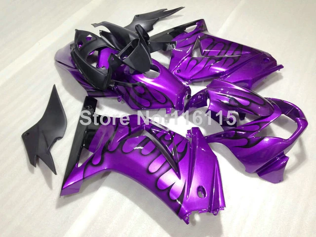Kawasaki Ninja 250r Purple