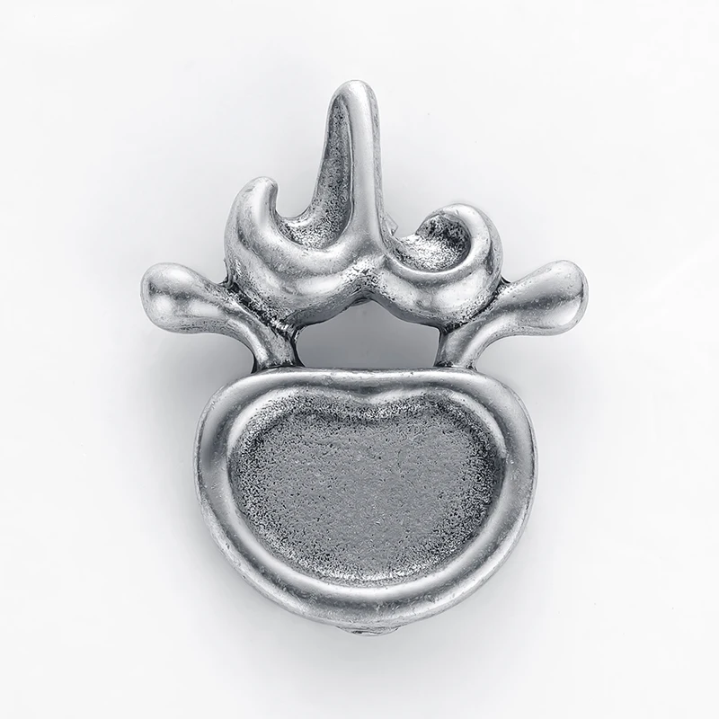 Vertebra Pin Badge Anatomy Medical Doctors Nurse Gift Gold Spine Lapel ...