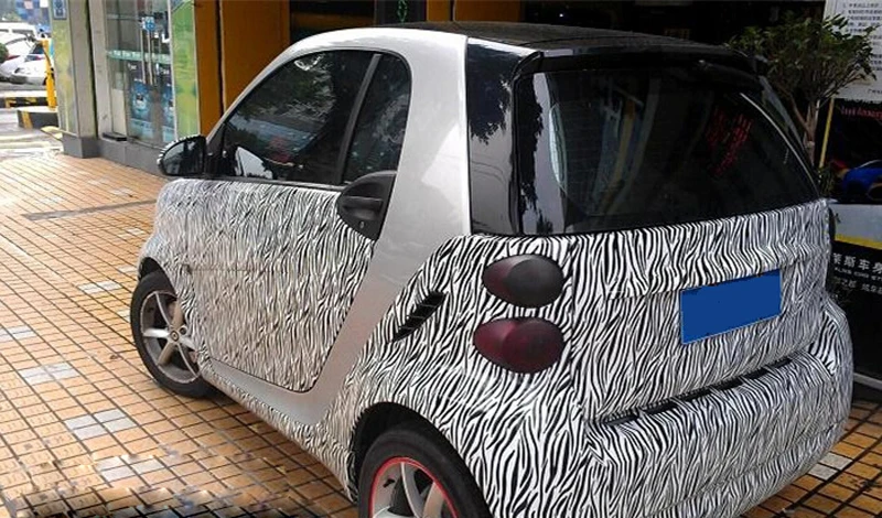 Zebra Smart Car