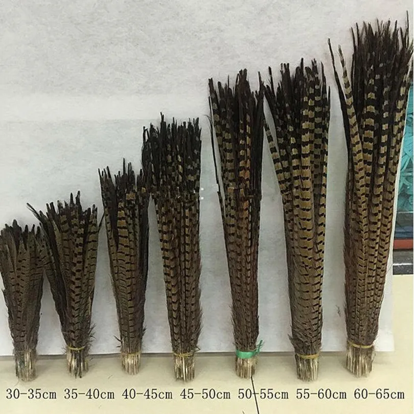 Wholesale 10 Pcs Beautiful Pheasant Feathers A Variety Of Colors ...