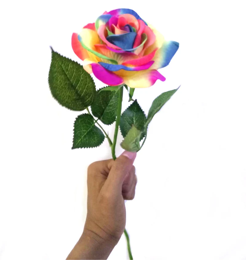 Rainbow Rose With Stem