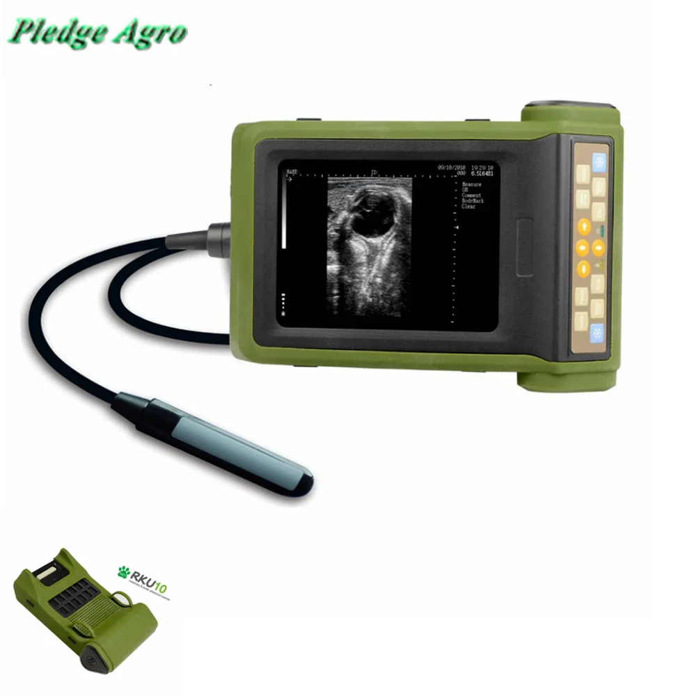 Ultrasound Scanner Bovine Linear Rectal Probe For Cattle Horse Donkey ...