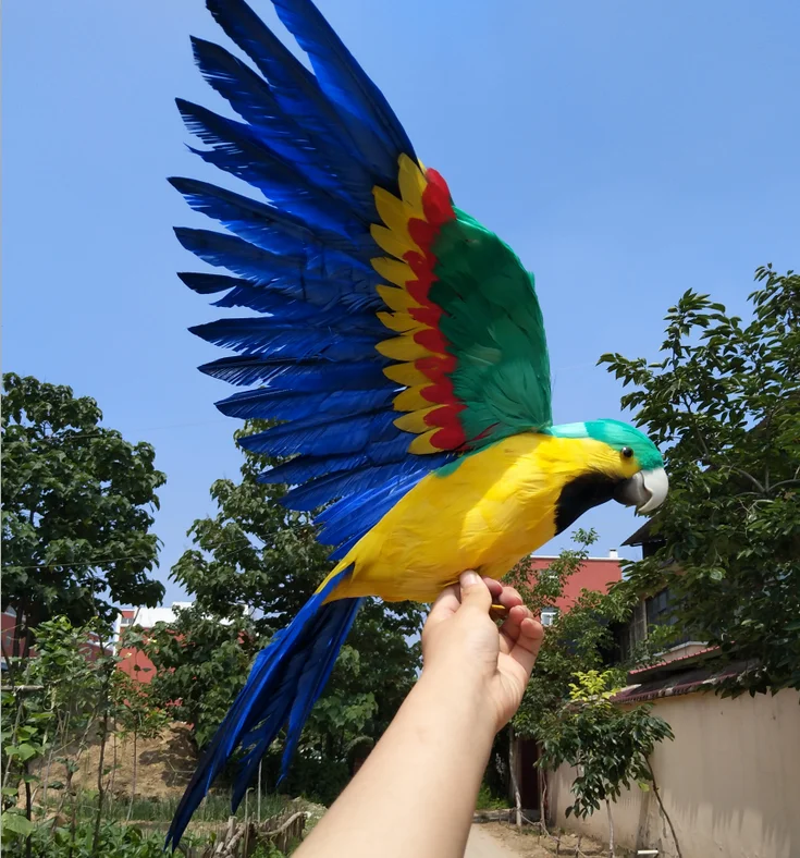 large-42x60cm-colourful-feathers-spreading-wings-parrot-artificial-bird ...