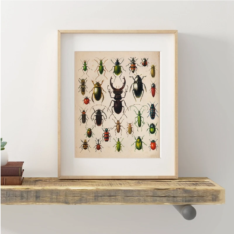 Home & Living Ink Beetle Painting Framed Poster Print Prints Home Décor ...