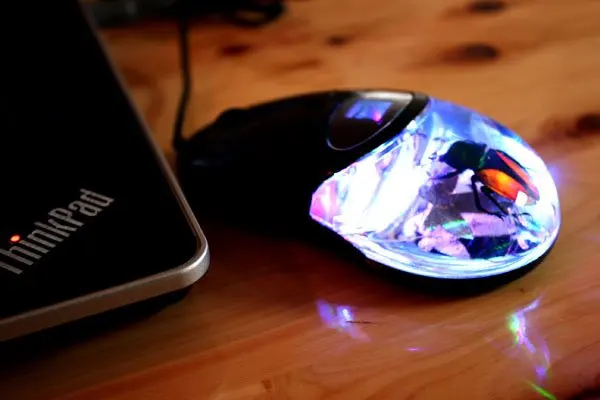 New-Arrival-3D-USB-Optical-Computer-Mouse-w-Bug-Amber-Aquarium-Night ...