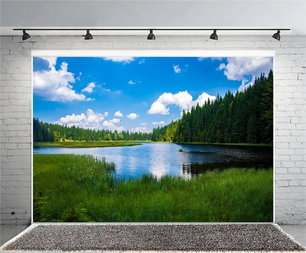Laeacco Natural Green Grass Forest Lake Blue Sky Cloudy Outdoor Scenic ...