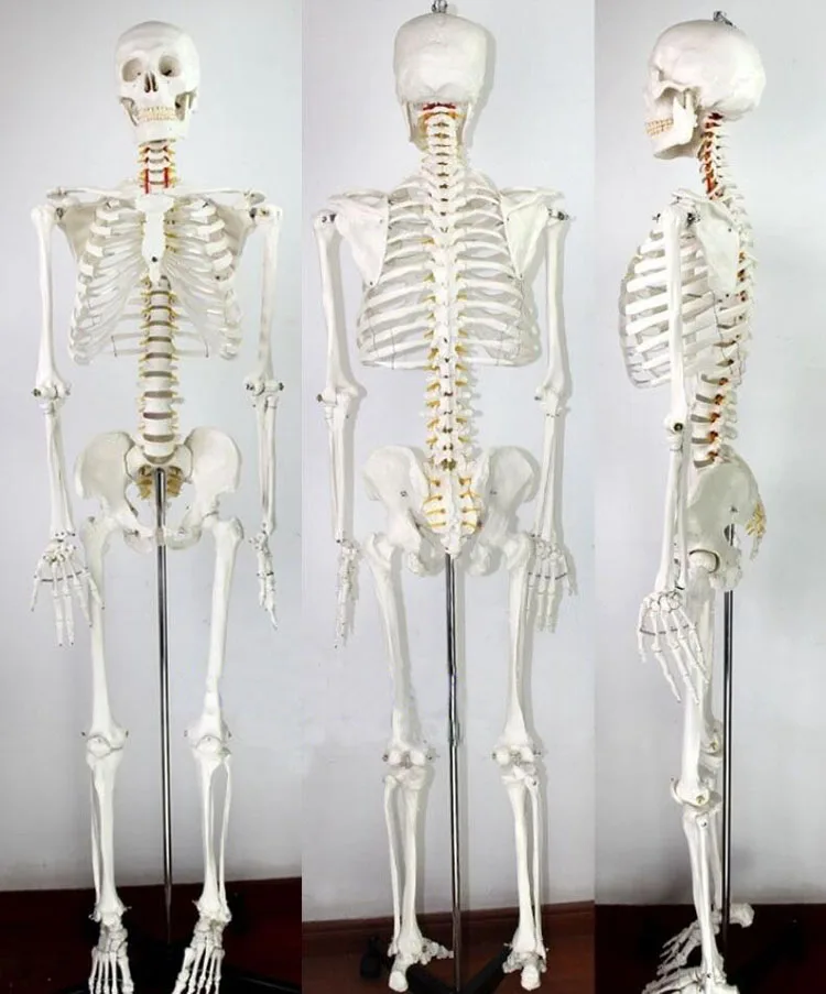 Store Home Products Summer Sale Feedback