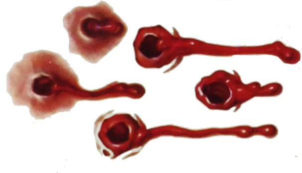 Vampire Bite Marks Drawing