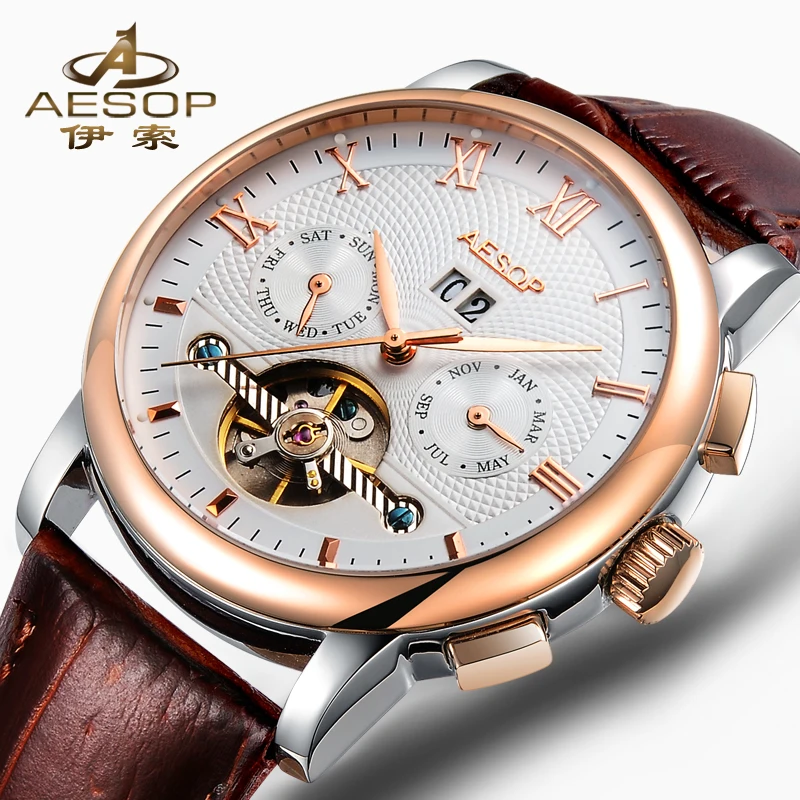 AESOP-Top-Brand-Fashion-Men-Watch-Men-Automatic-Mechanical-Wrist ...