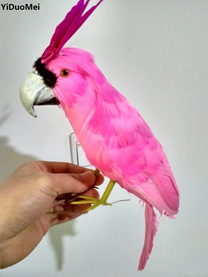 Pink Parrot Bird