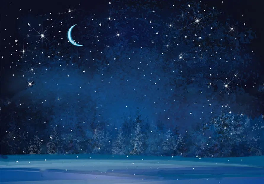 winter wonderland night star moon backdrops Vinyl cloth High quality ...