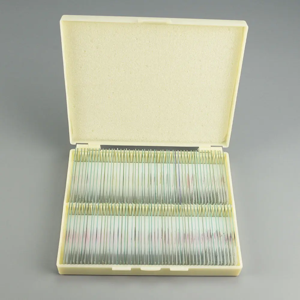 Human Tissue Sections Histology Prepared Specimen Microscope Laboratory ...