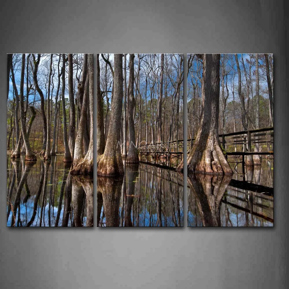 3-Piece-Wall-Art-Painting-Many-Straight-Trees-On-Swamp-Picture-Print-On ...