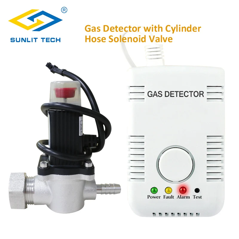 Household Security Coal Gas Natural Gas Sensor Lpg Leak Detector Alarm System With Cylinder Hose