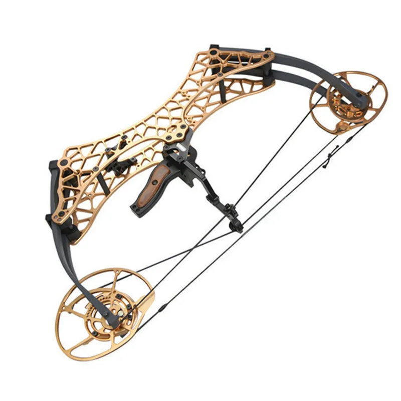 1set 40-70lbs Compound Bow 26inch Fishing Slingshot Hunting Bow 350FPS ...