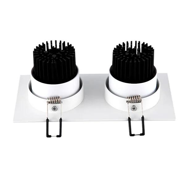 Best Acrylic LED COB Ceiling Light Flush Mount Adjustable Dual-head ...